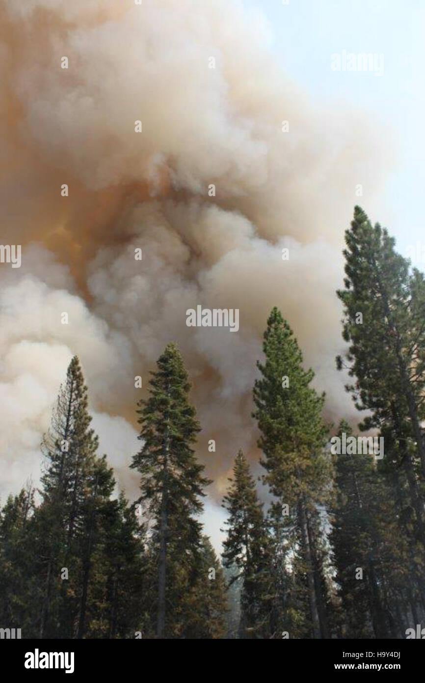 An image depicting a forest fire in the U.S., highlighting the impact ...
