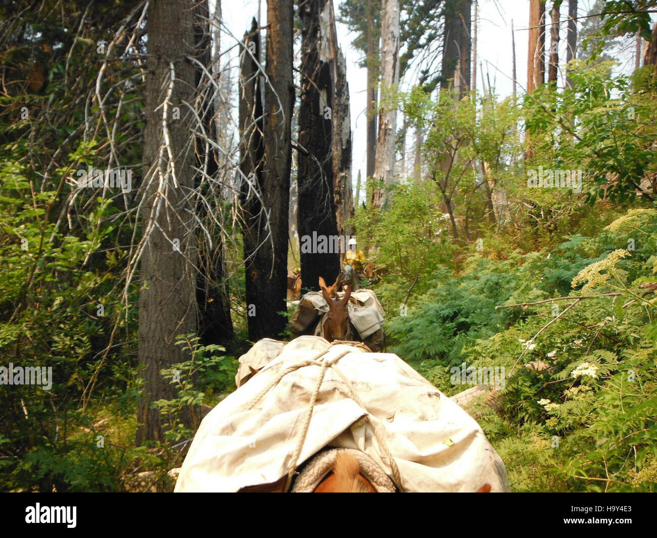 The Corral Complex Fire, a significant wildfire event, highlighting the ...
