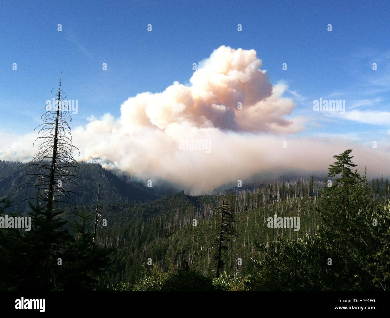 The Corral Complex Fire, a forest fire incident, highlights the ...