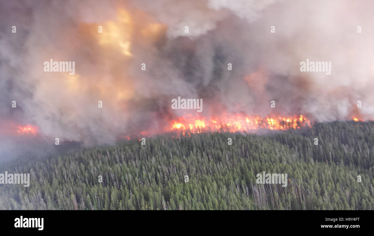 The Druid Complex Fire, which occurred in Yellowstone National Park ...