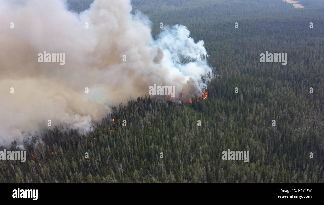 The image depicts the Druid Complex Fire in Yellowstone National Park ...