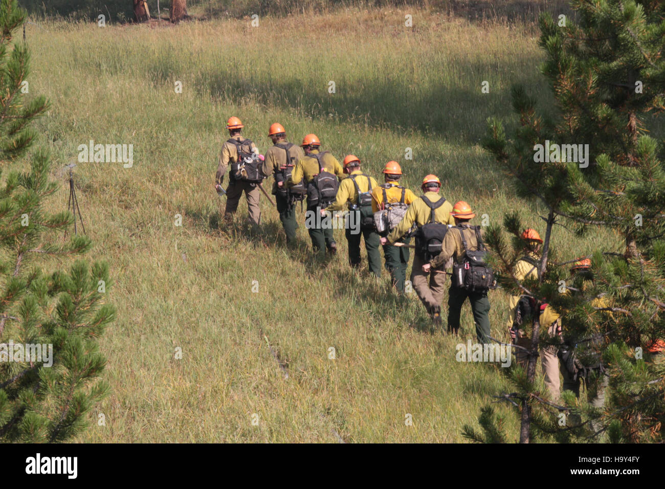 The Druid Complex Fire in Yellowstone National Park demonstrates the ...