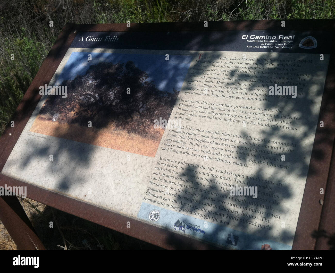 This image features the Anza Trail Wayside in Calabasas, a key stop ...