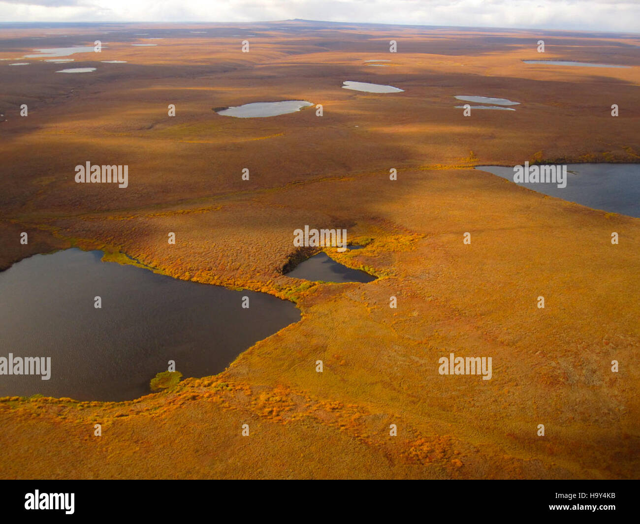 bering land bridge 9511691731 Landscape in Bering Land Bridge National ...