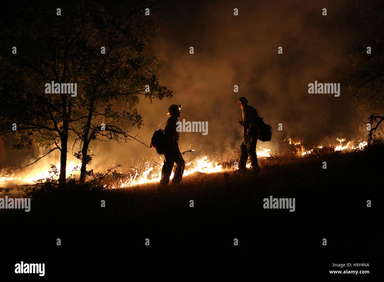 A USDA image documenting the Forest Fires at the Government Flats ...