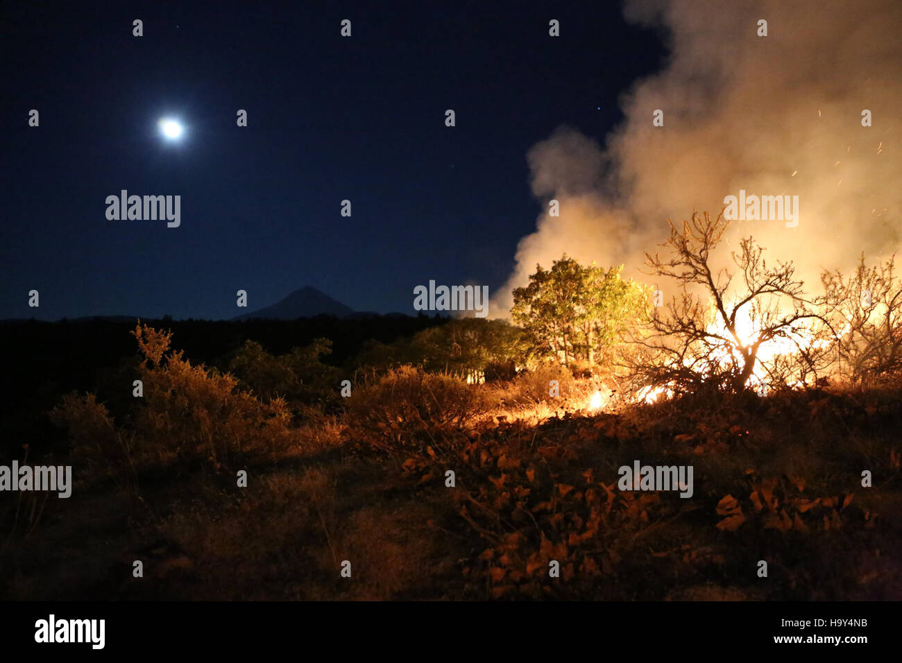 The Government Flats Complex Fire, managed by the U.S. Forest Service ...