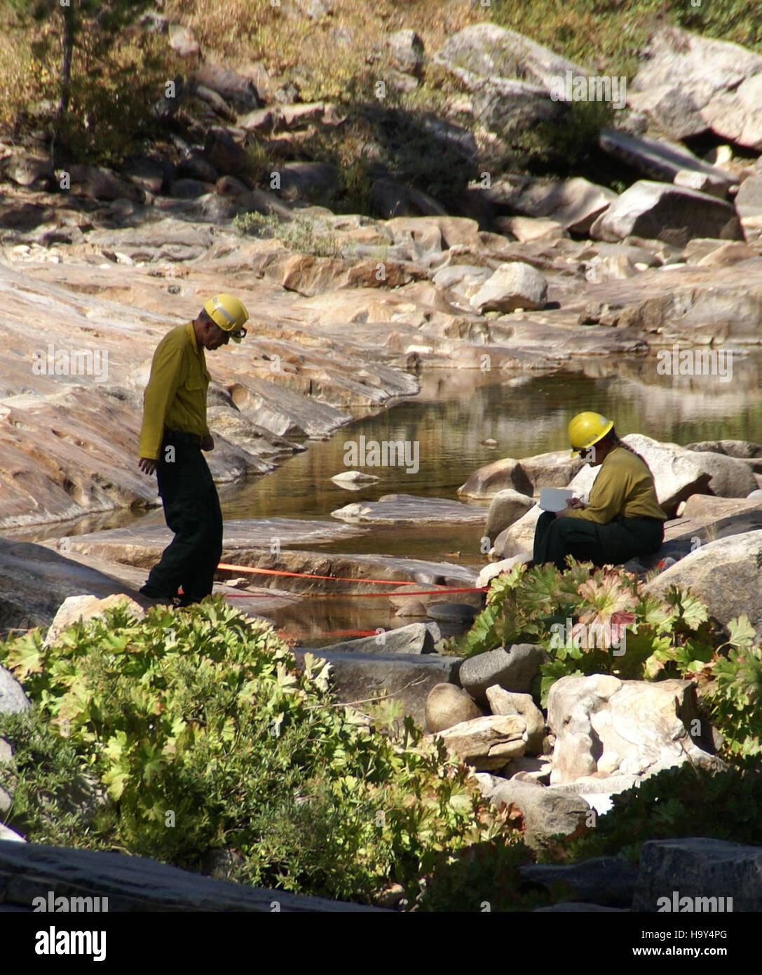 The Rim Fire was a large wildfire that affected Yosemite National Park ...