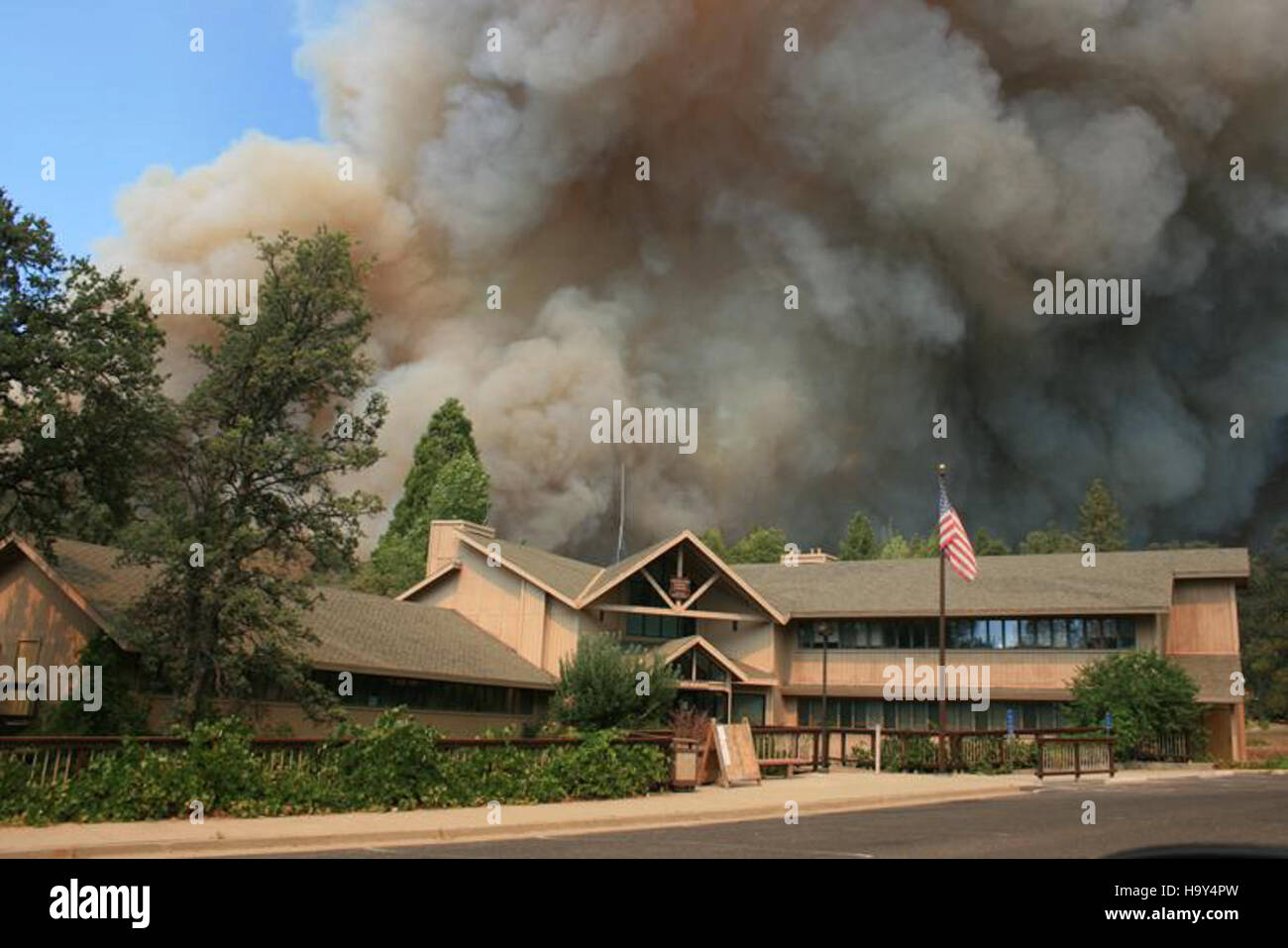 The Rim Fire, one of California's largest forest fires, affected vast ...
