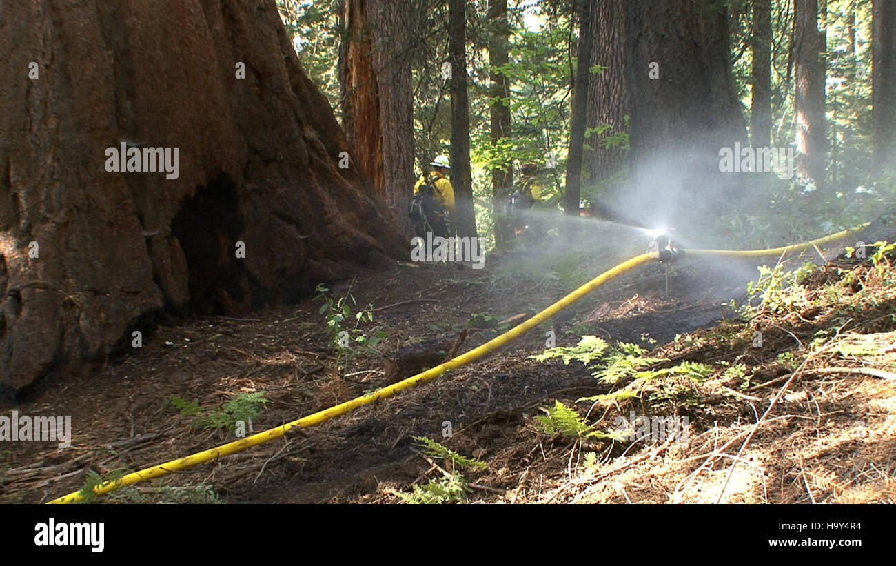 The Rim Fire, one of the largest forest fires in California's history ...