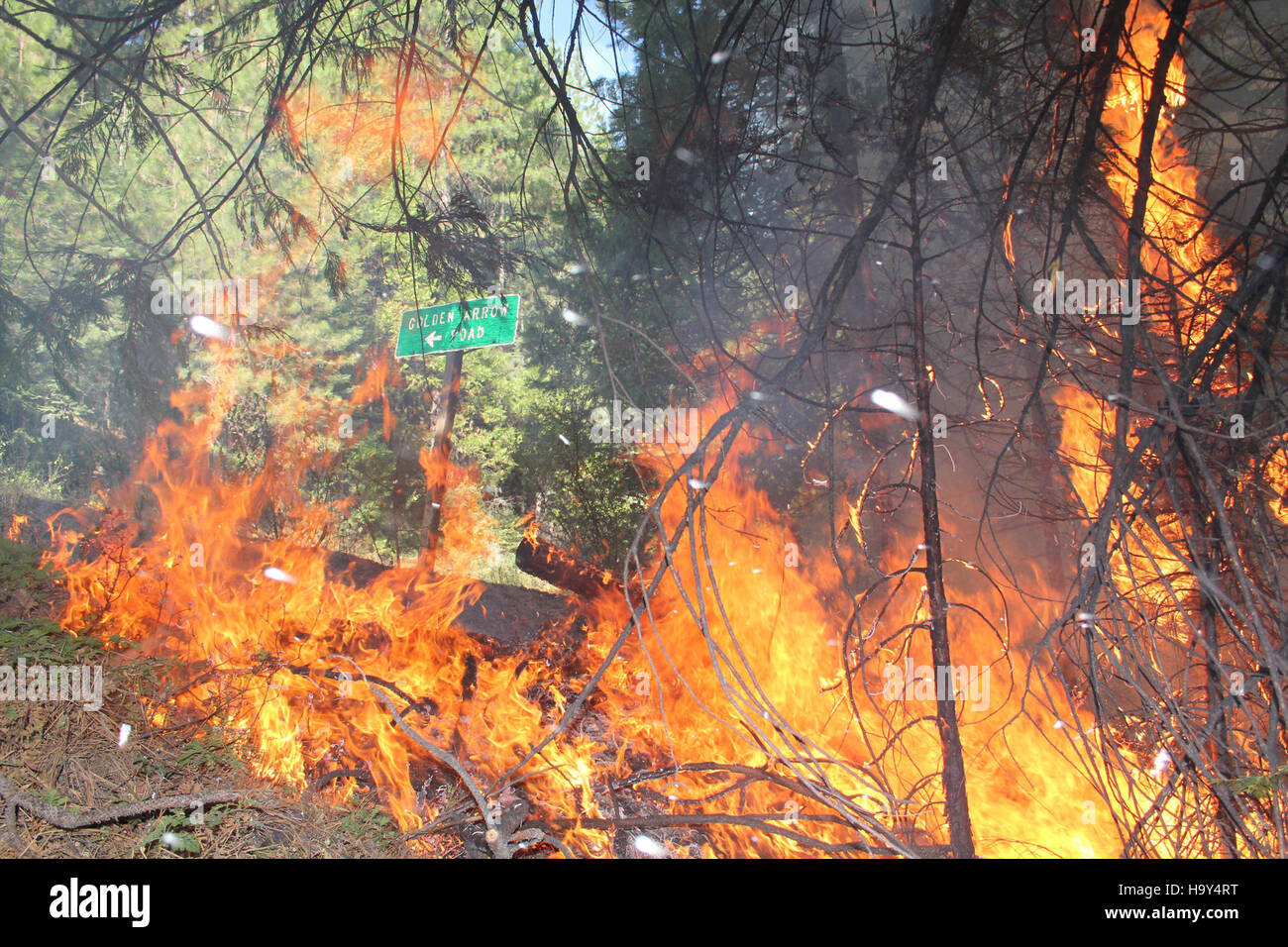 A visual record of the Rim Fire in California, documenting the impact ...