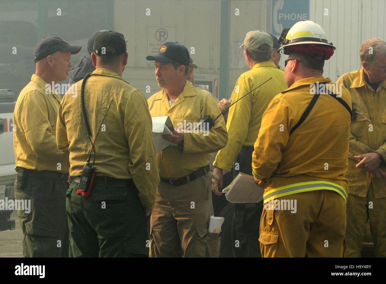 This image shows the aftermath of the Rim Fire, a significant forest ...