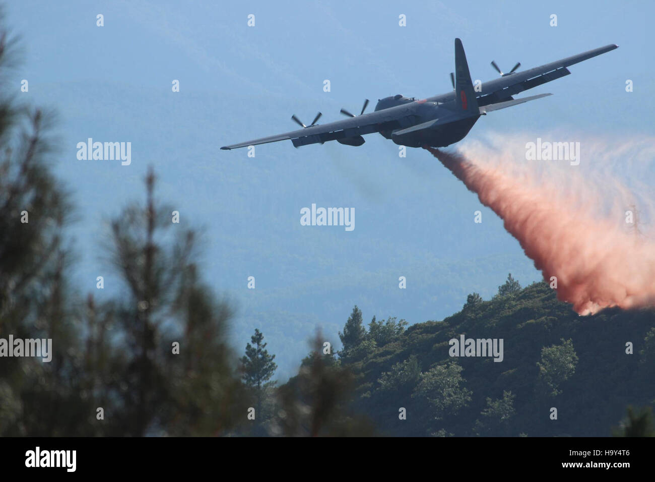 The Rim Fire, one of California’s largest wildfires, was extensively ...