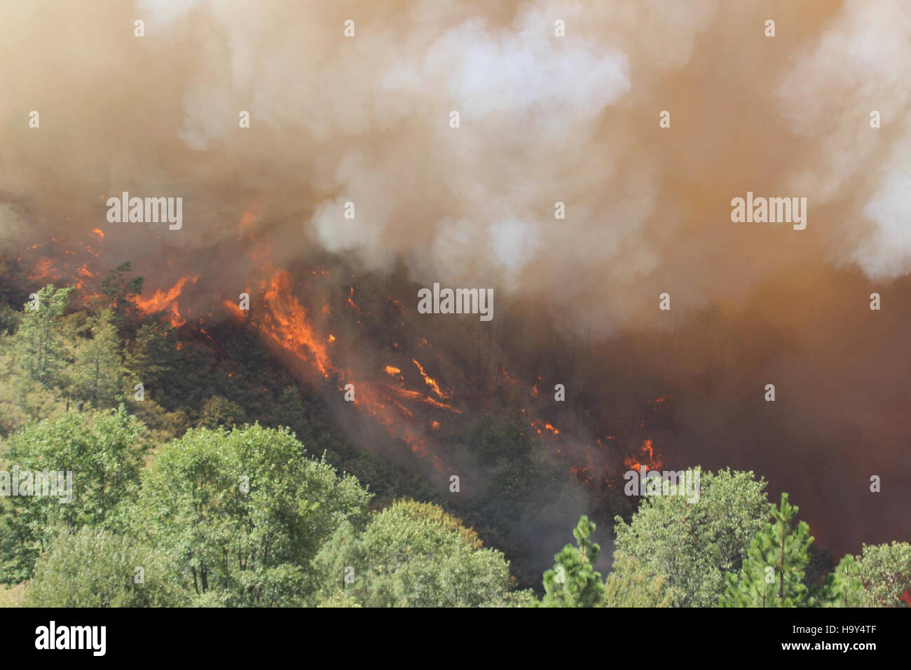 The Rim Fire, one of the largest wildfires in California history ...