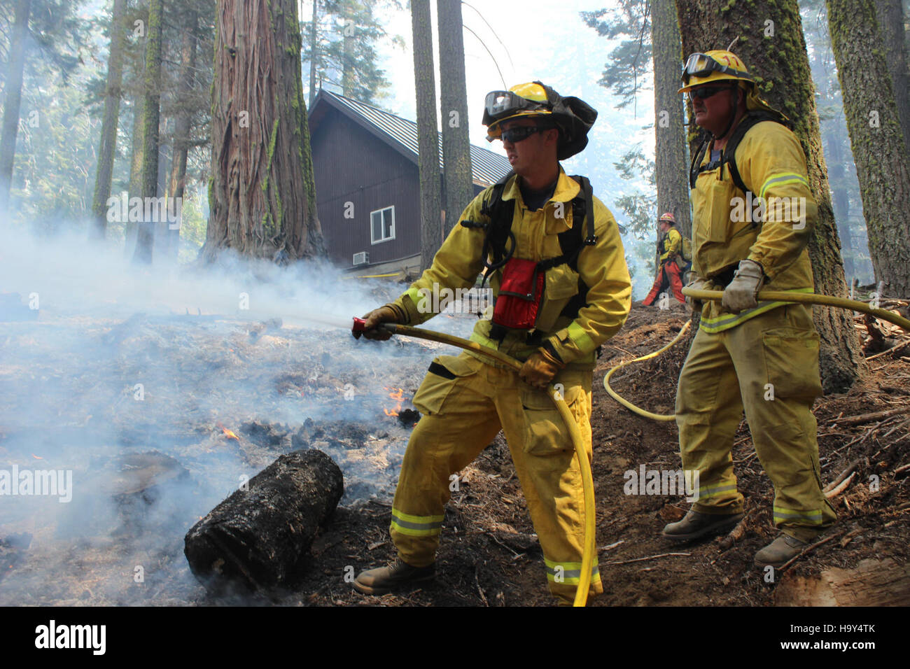 The Rim Fire, one of the largest wildfires in U.S. history, was a ...