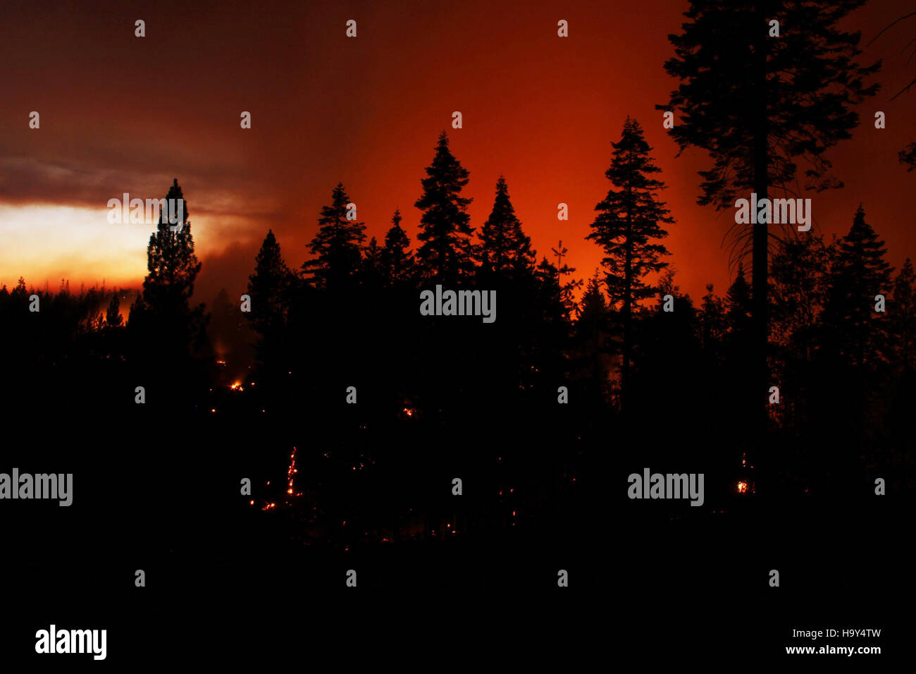 The Rim Fire was a major forest fire that occurred in 2013, affecting a ...