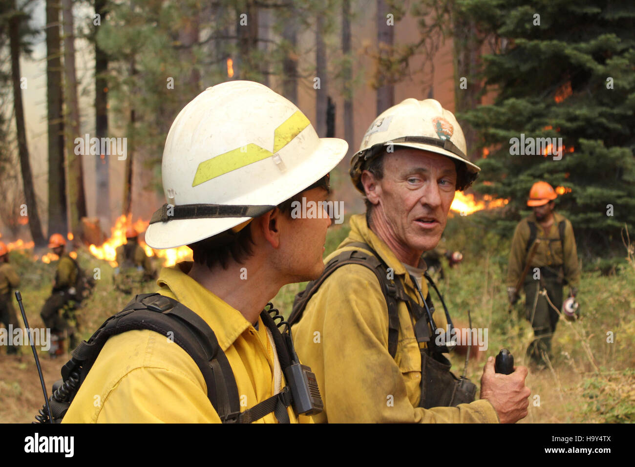 The Rim Fire, one of the largest wildfires in California, burned ...