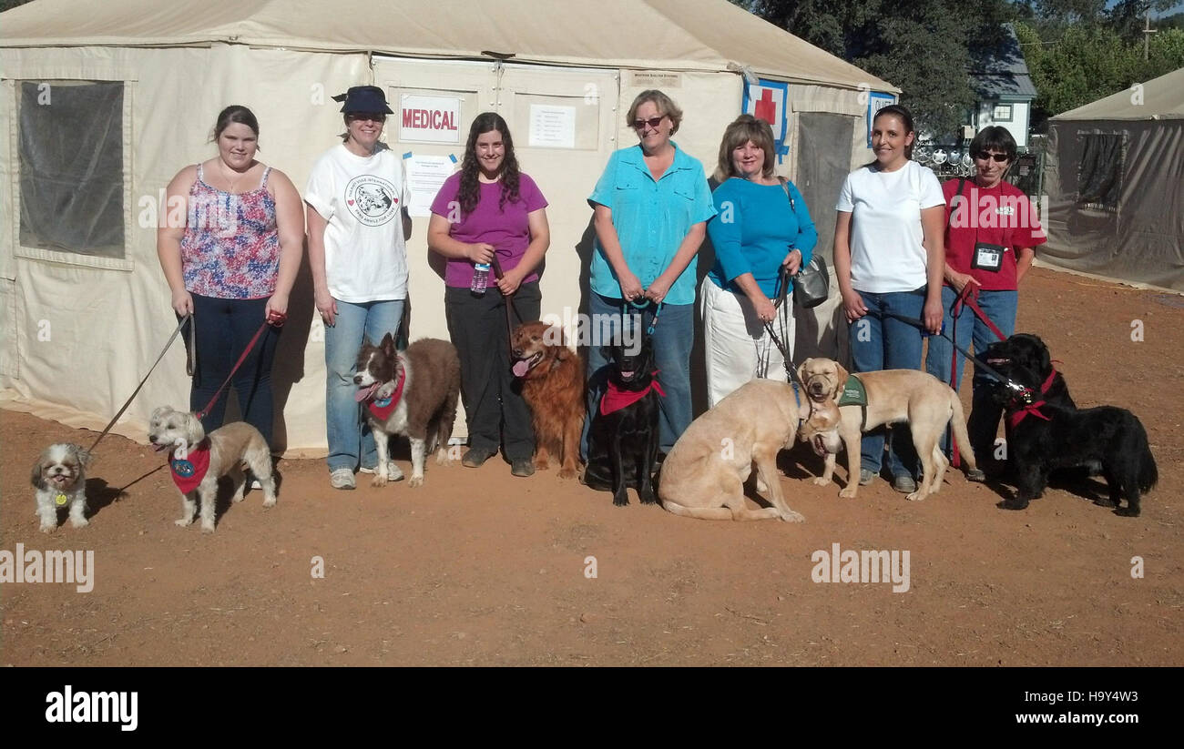 The Rim Fire, a major forest fire in 2013, impacted ecosystems and ...