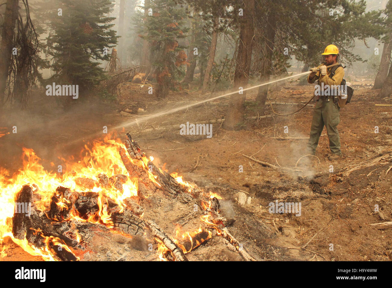 Fire damaged habitats hi-res stock photography and images - Alamy