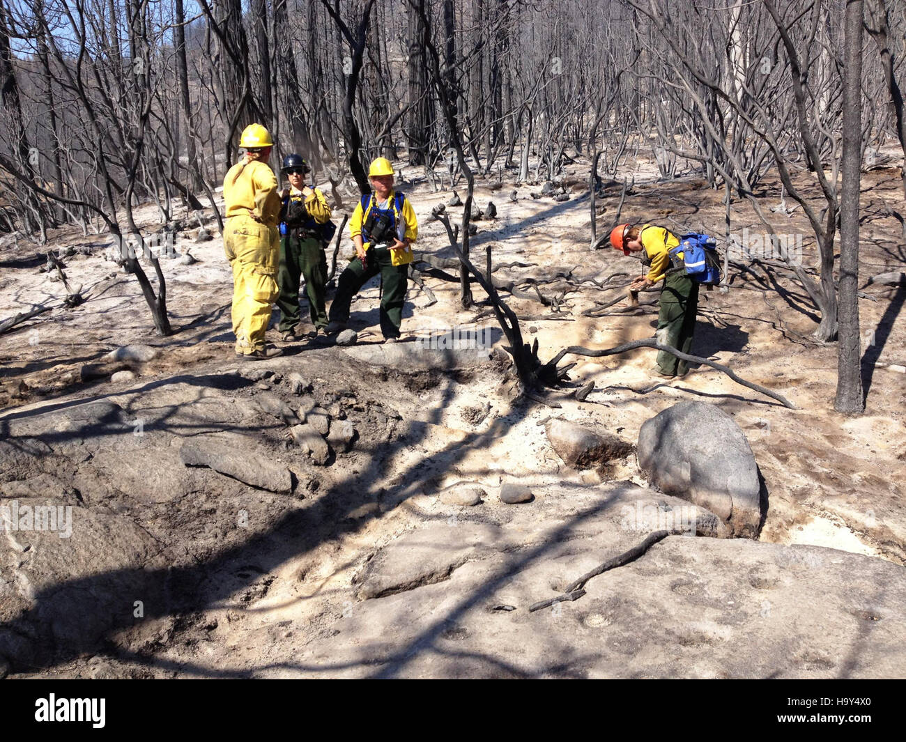 The Rim Fire, a major forest fire in 2013, caused significant damage to ...