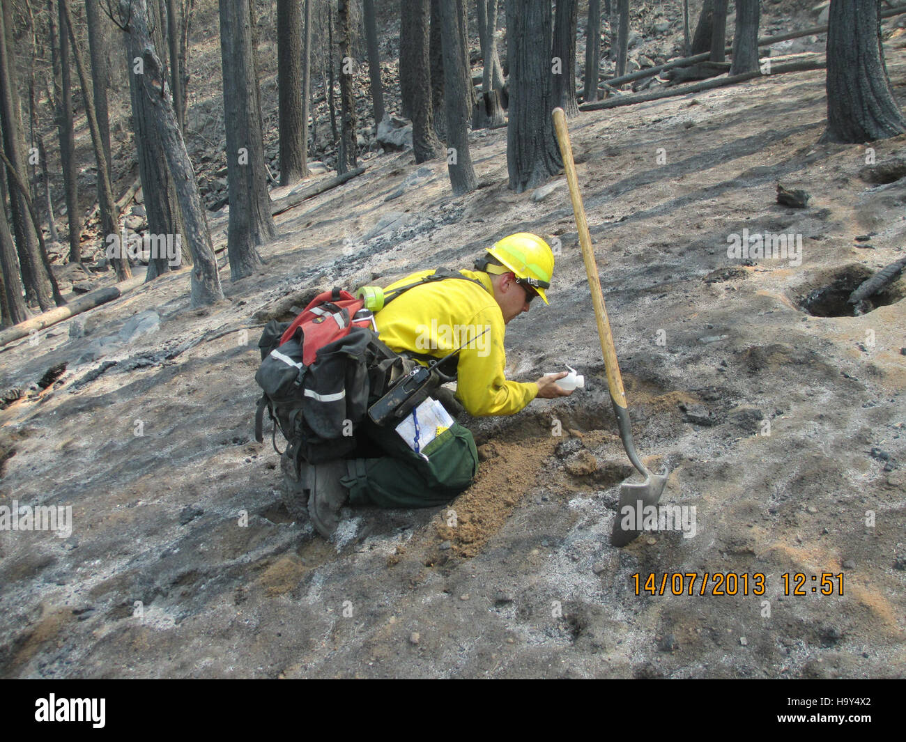 The Rim Fire in California was a significant forest fire event ...