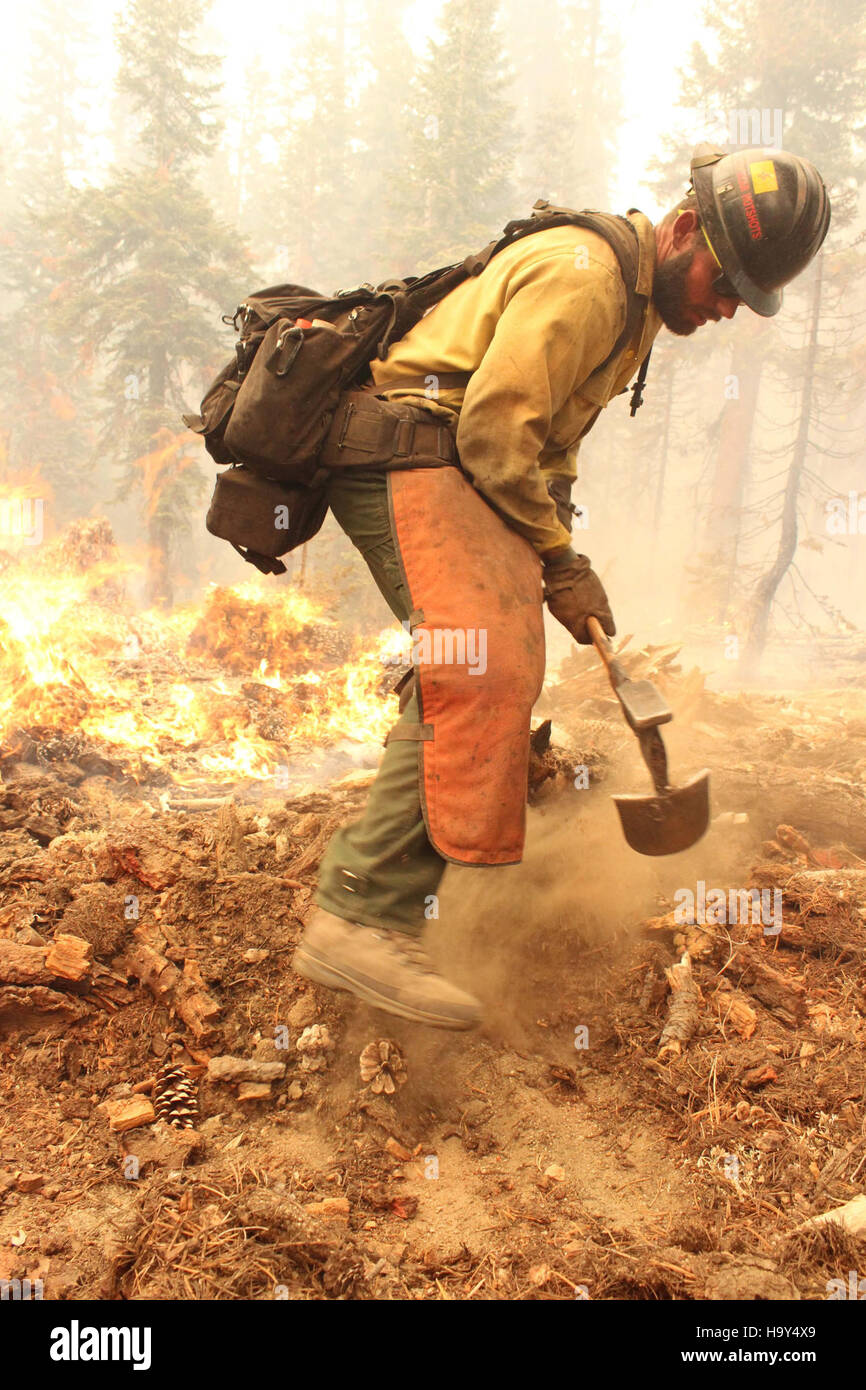 The Rim Fire, a major forest fire in California, led to extensive ...