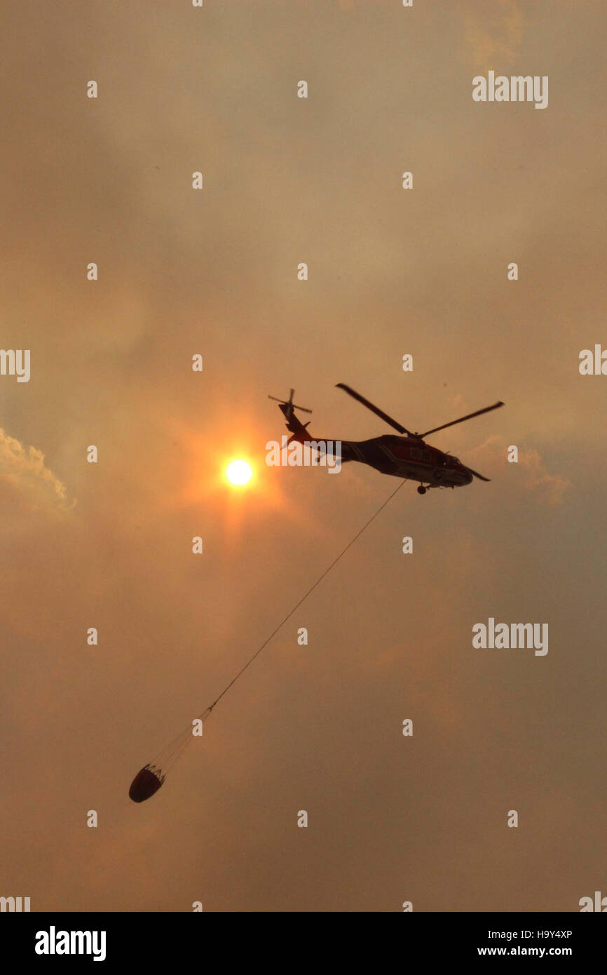 The Rim Fire, a large wildfire in California, caused significant ...