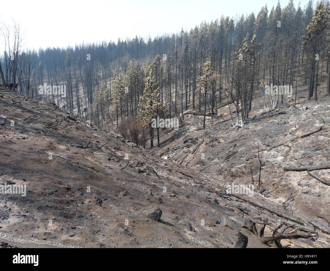 The Rim Fire, a massive wildfire in California, highlighted the need ...