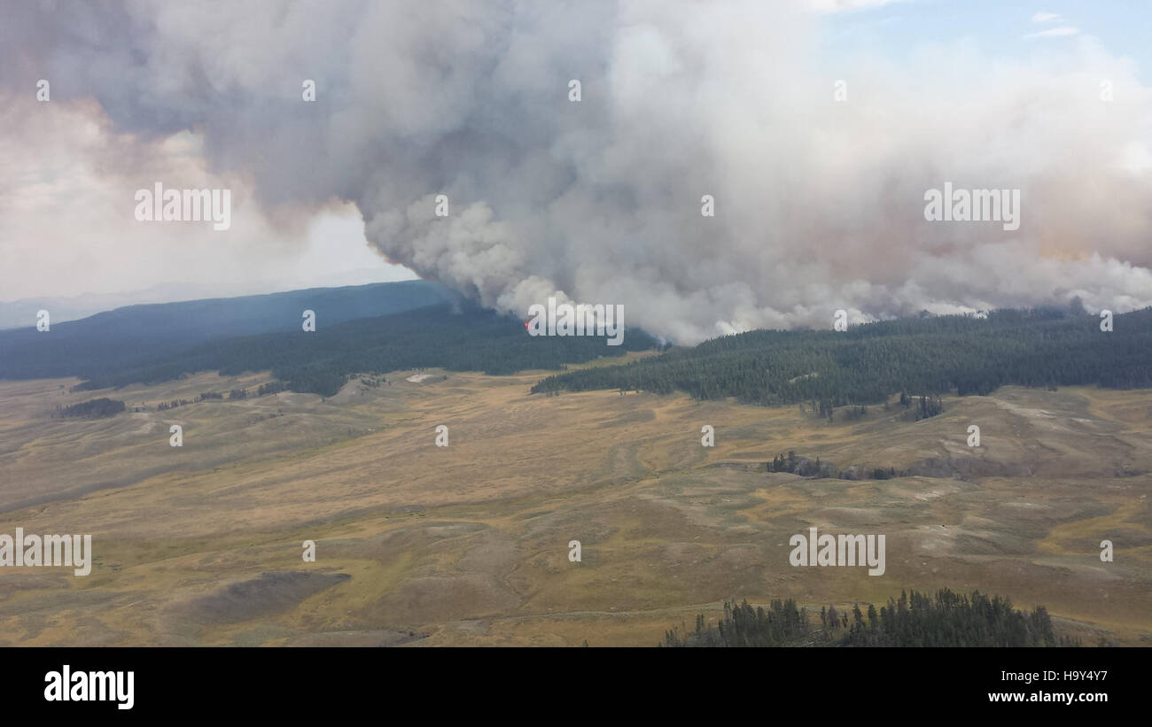 The Druid Complex in Yellowstone National Park is an area known for its ...