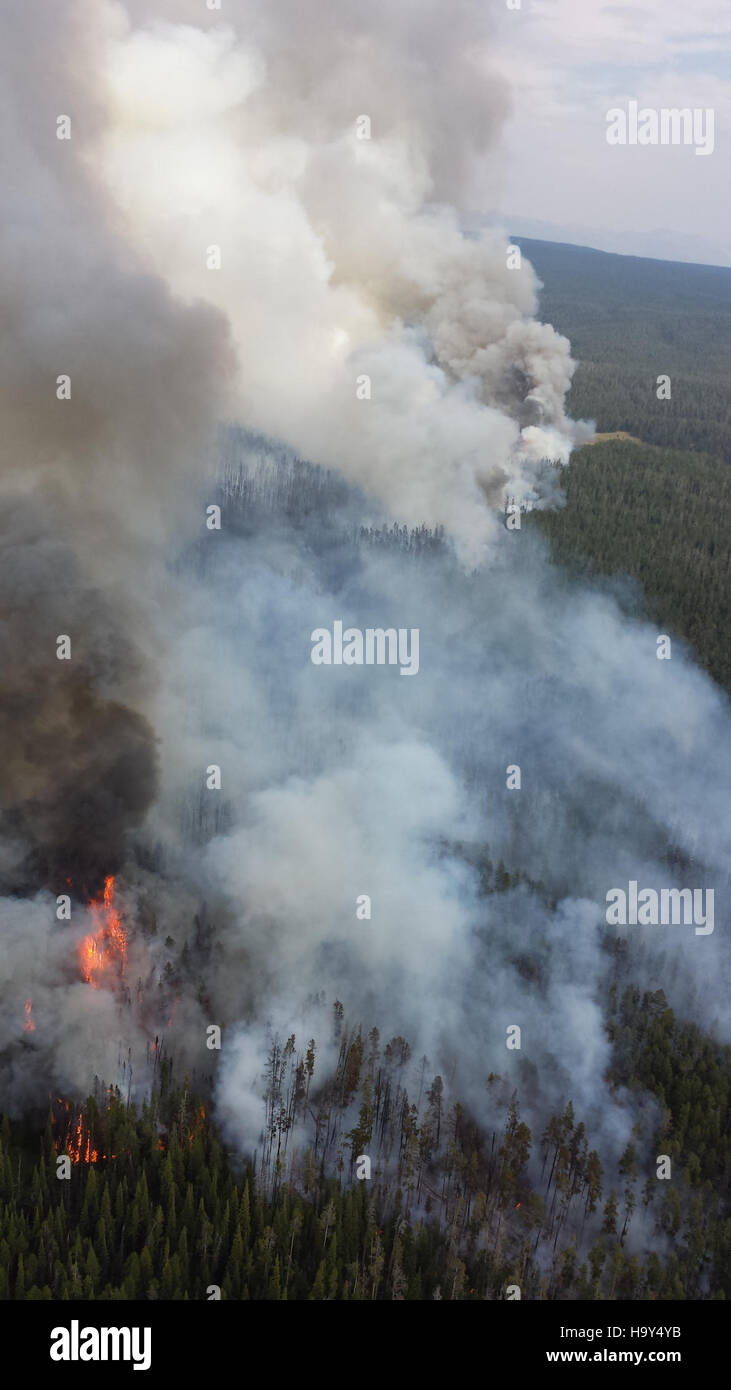 The Druid Complex in Yellowstone National Park is a geothermal feature ...