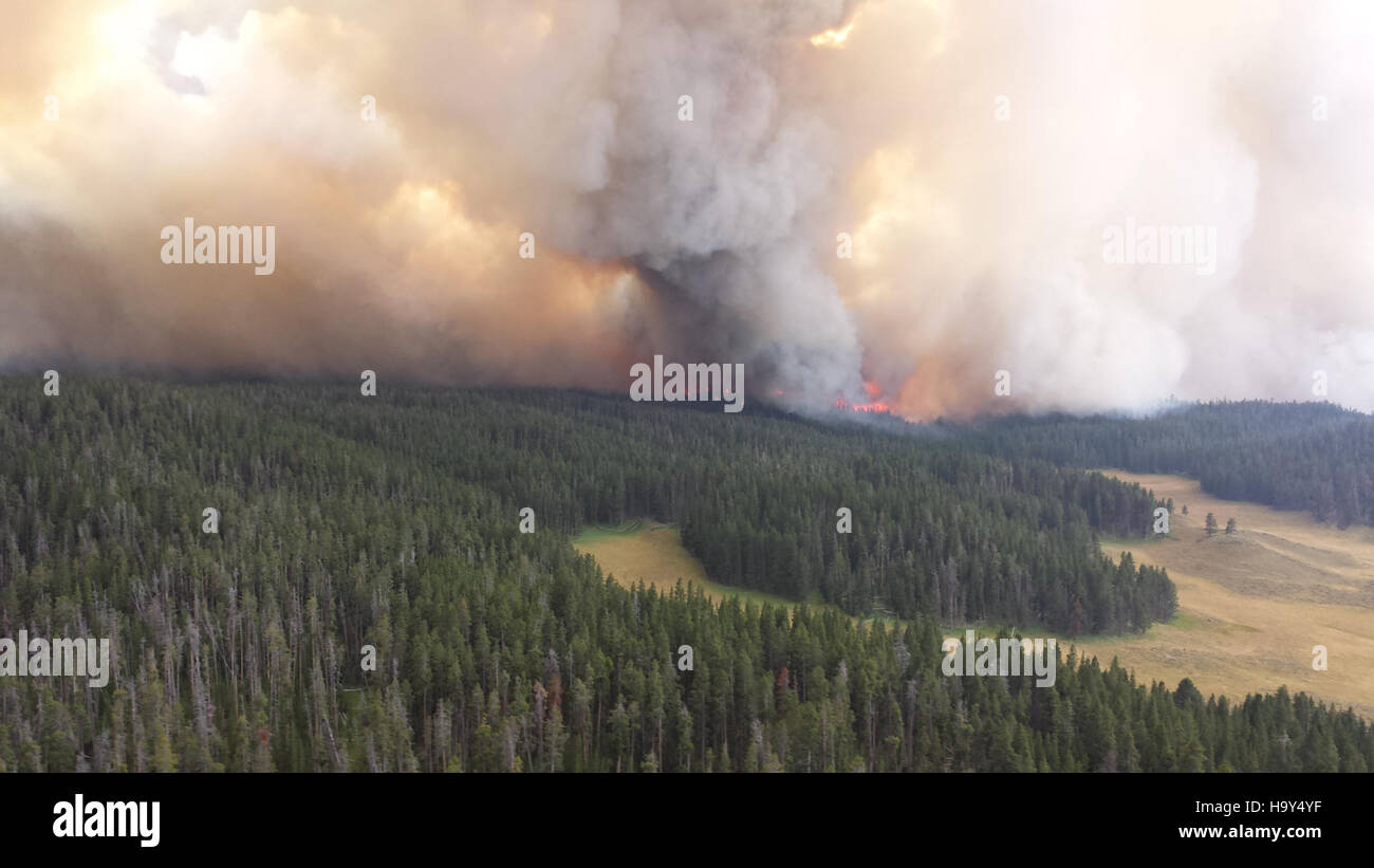The Druid Complex in Yellowstone National Park is an area known for its ...