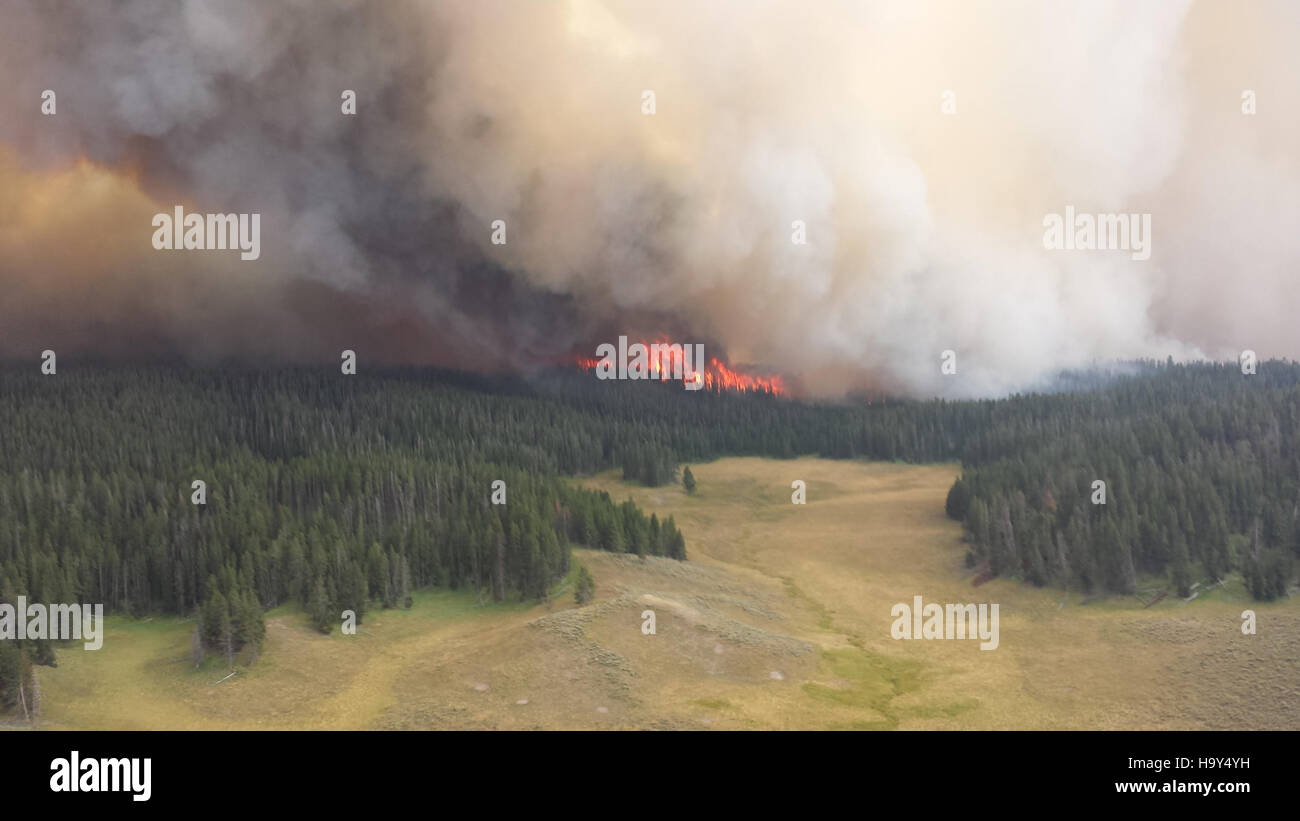 The Druid Complex in Yellowstone National Park is a geothermal area ...