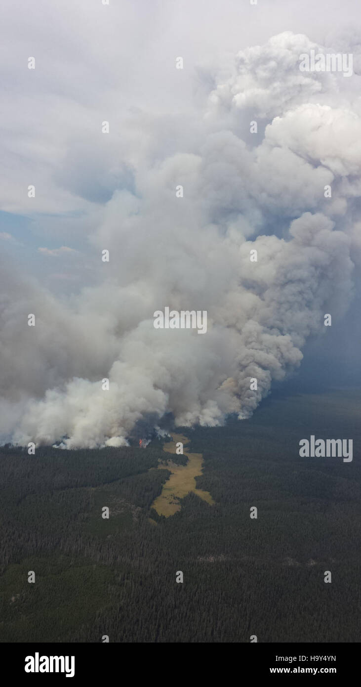 The Druid Complex in Yellowstone National Park features a significant ...