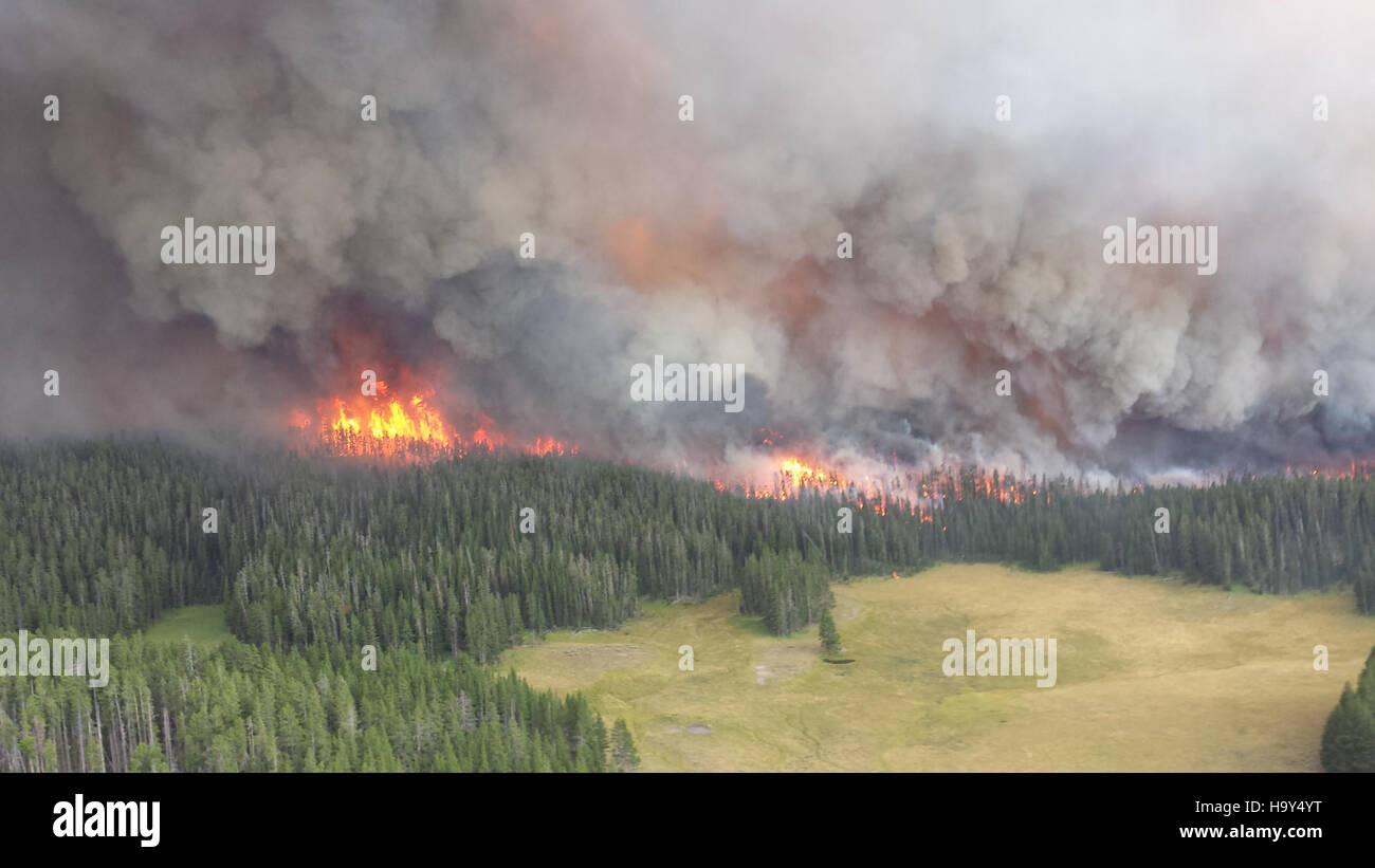The Druid Complex in Yellowstone National Park is a prime example of ...