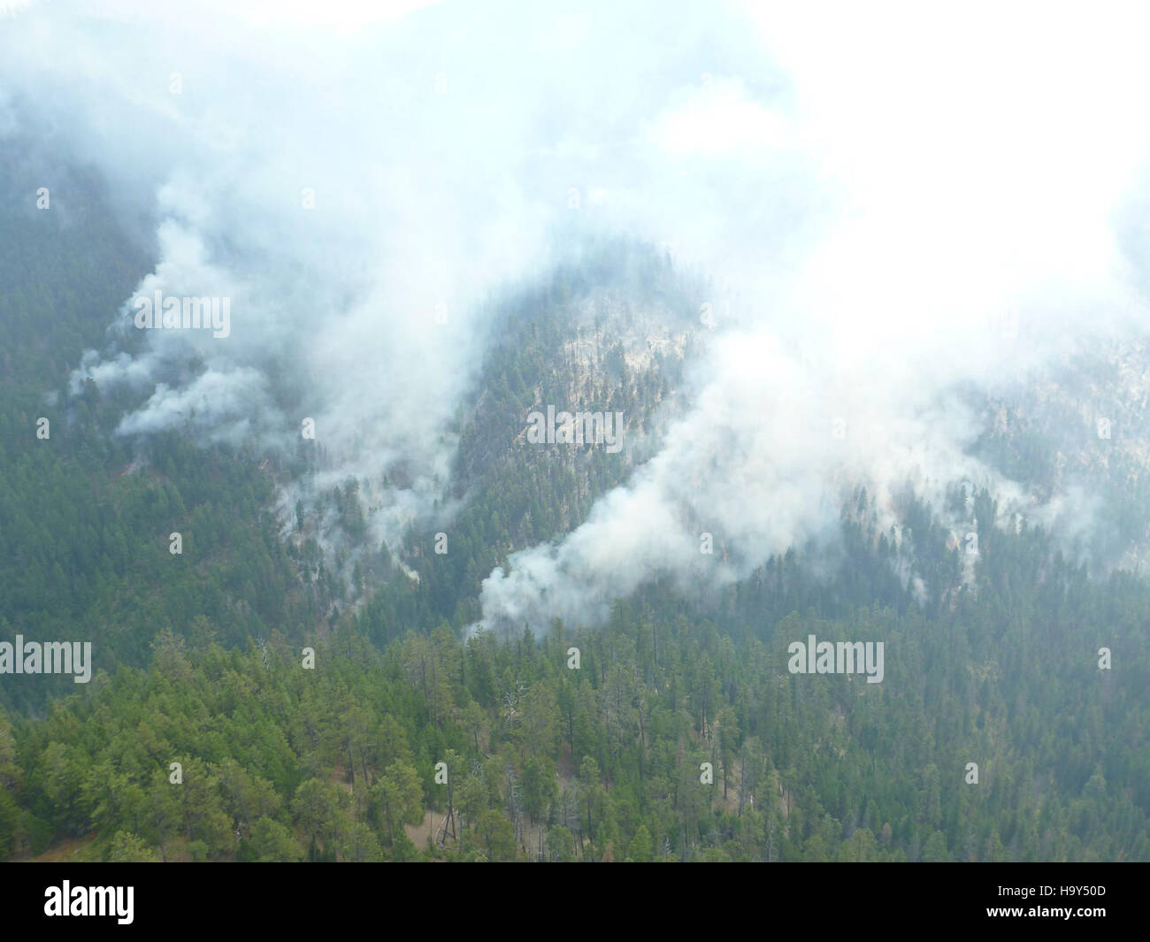 The Lolo Creek Fire in Idaho, managed by the USDA Forest Service ...