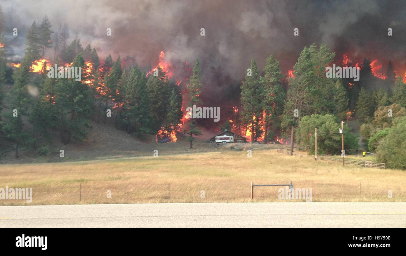 The Lolo Creek Fire, a significant forest fire in the U.S., was managed ...