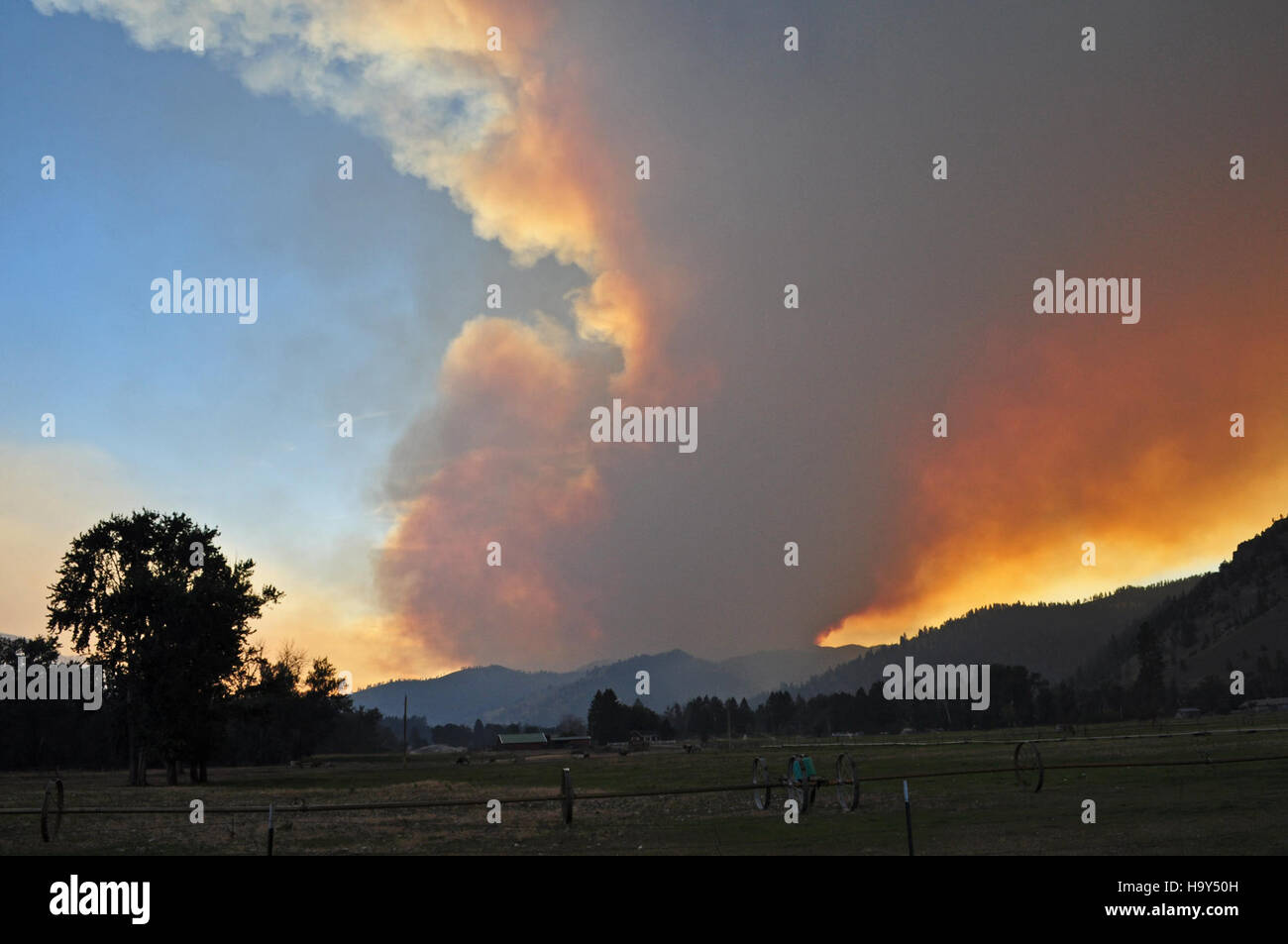 The Lolo Creek Fire, part of the U.S. Forest Service’s response to ...