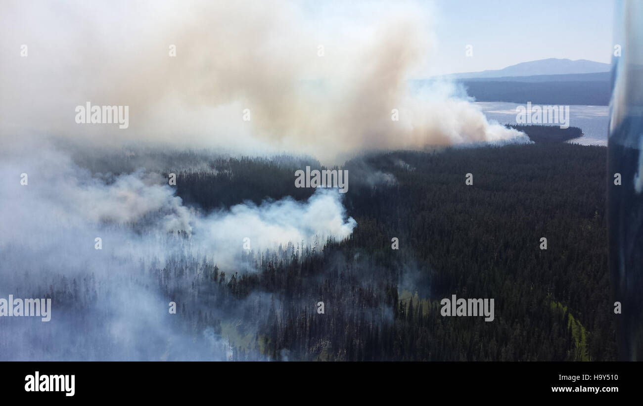 This image from Yellowstone National Park captures the natural beauty ...