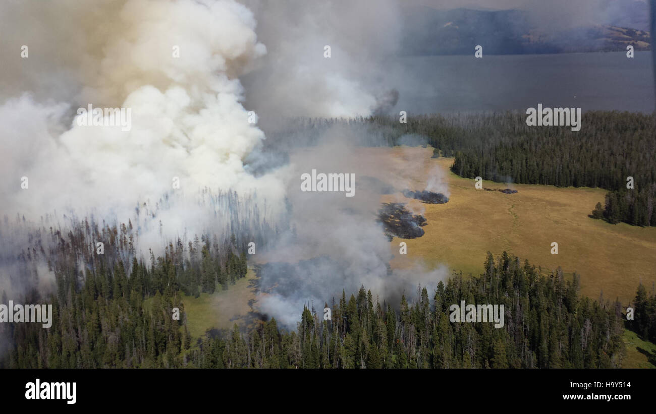 The Druid Complex in Yellowstone National Park is a famous geothermal ...