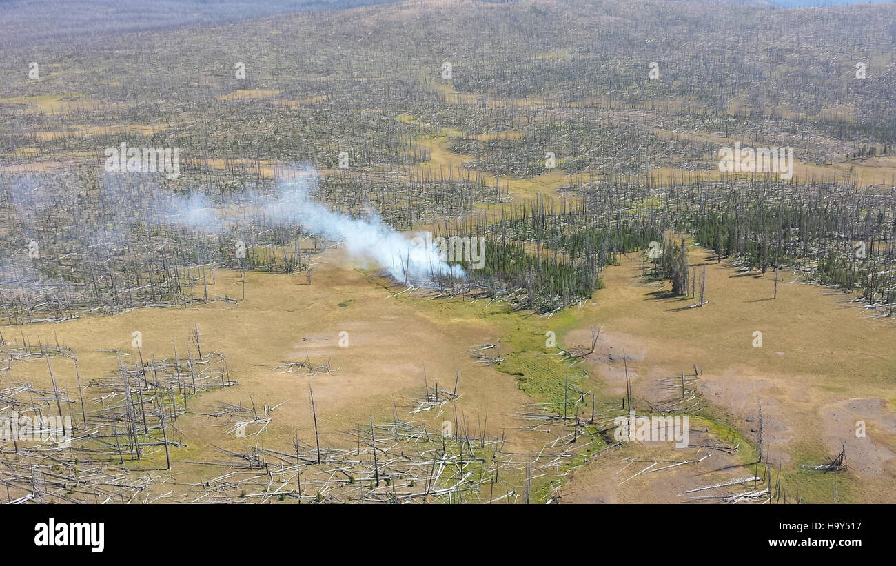 The Druid Complex in Yellowstone National Park is a geologically ...