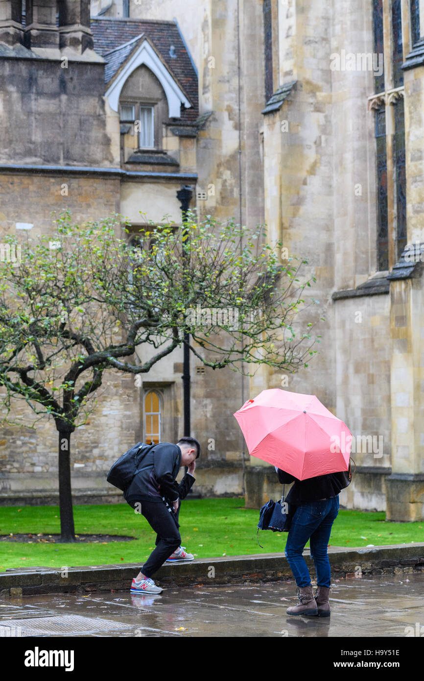 Trinity college apple tree hi-res stock photography and images - Alamy