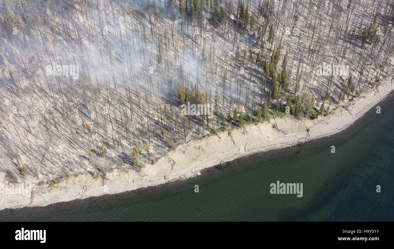 The Druid Complex in Yellowstone National Park is known for its active ...