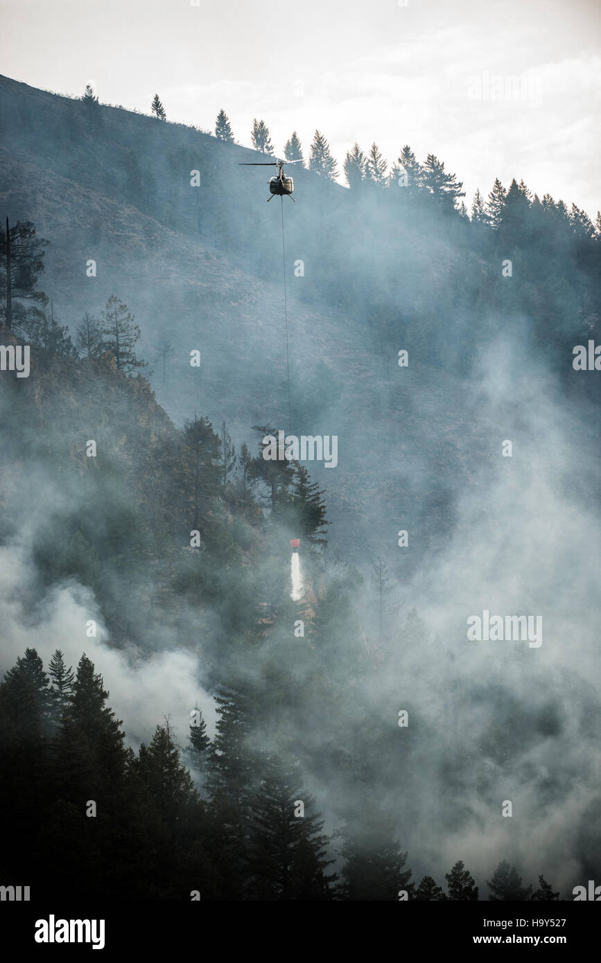 The USDA Forest Service and Interagency teams manage the Beaver Complex ...