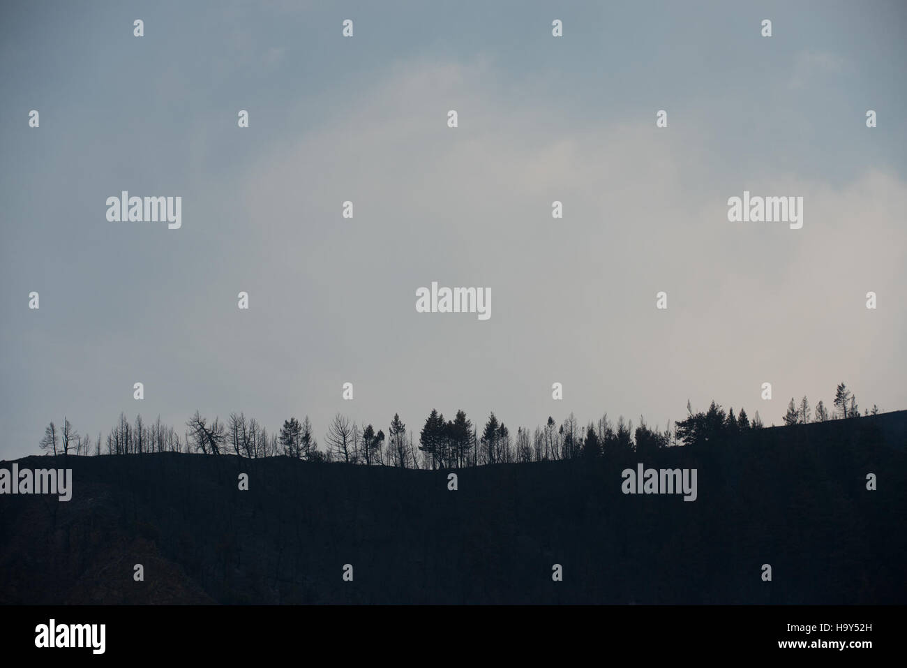 The USDA Forest Service responded to the Beaver Complex Wildlands Fire ...