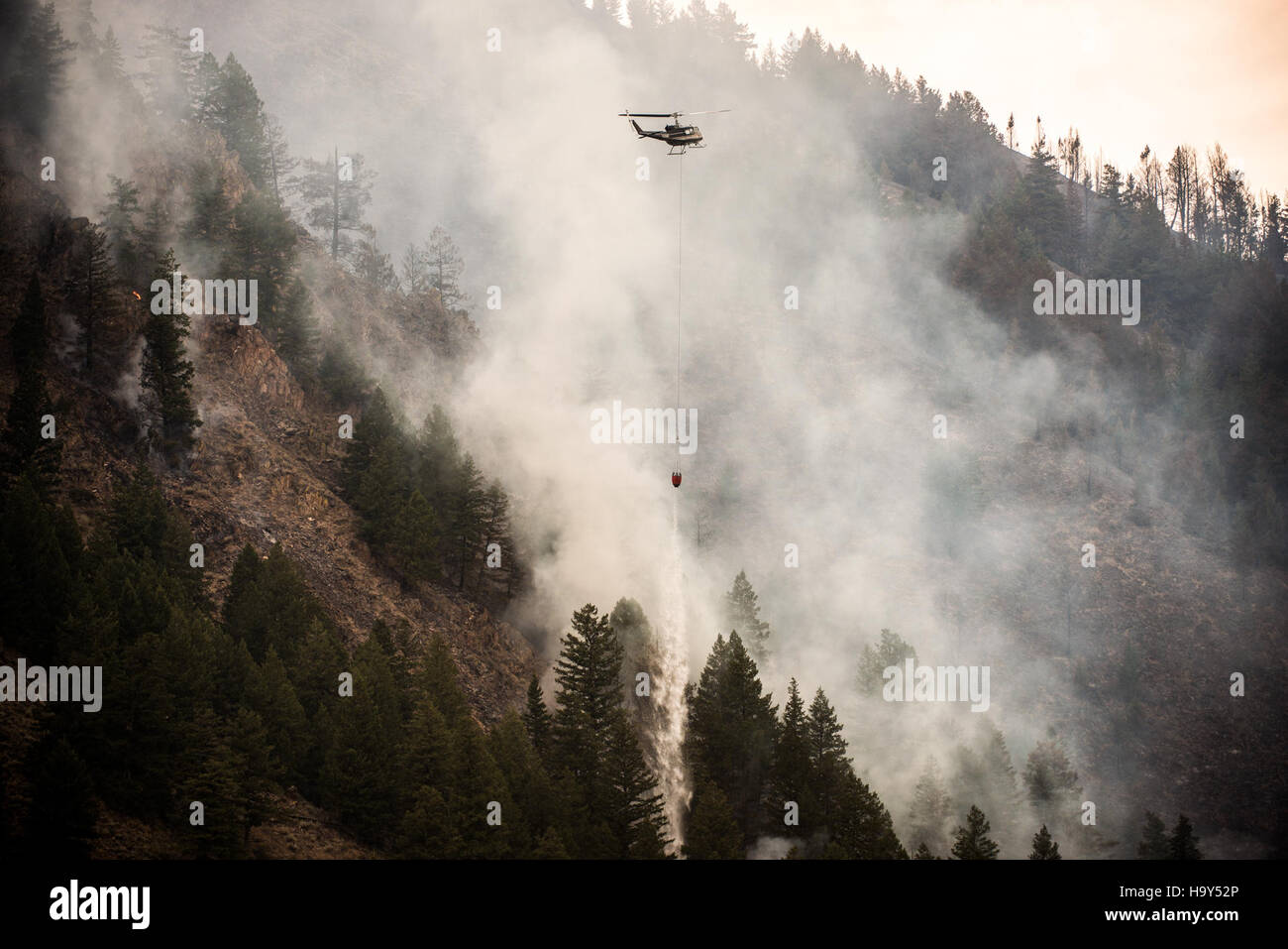 The Beaver Complex Wildlands Fire in Idaho, managed by the USDA Forest ...