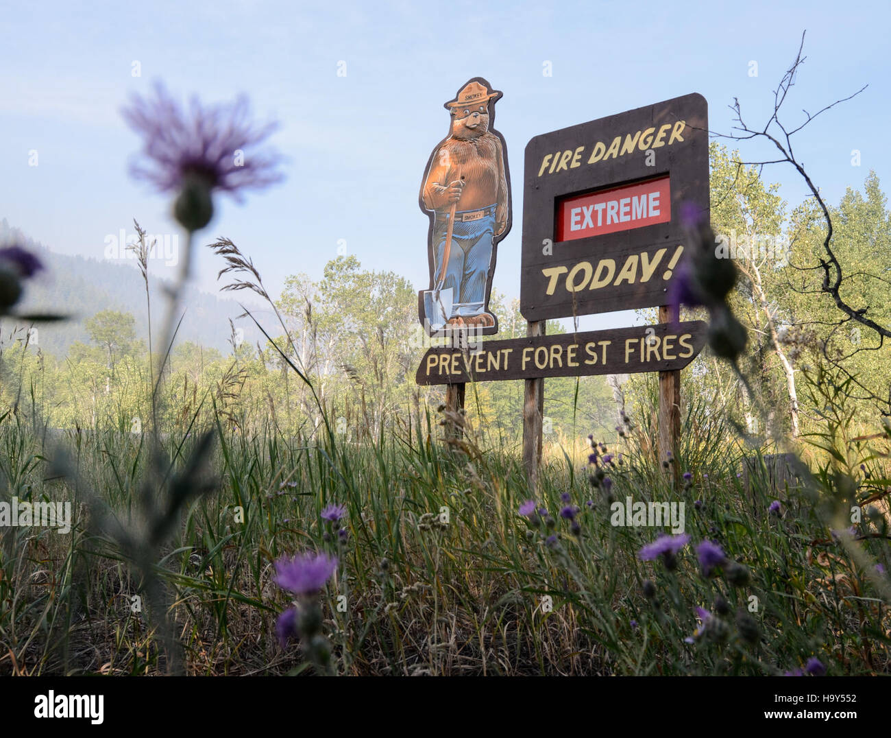 The Beaver Complex Wildlands Fire in Idaho was managed by the USDA ...