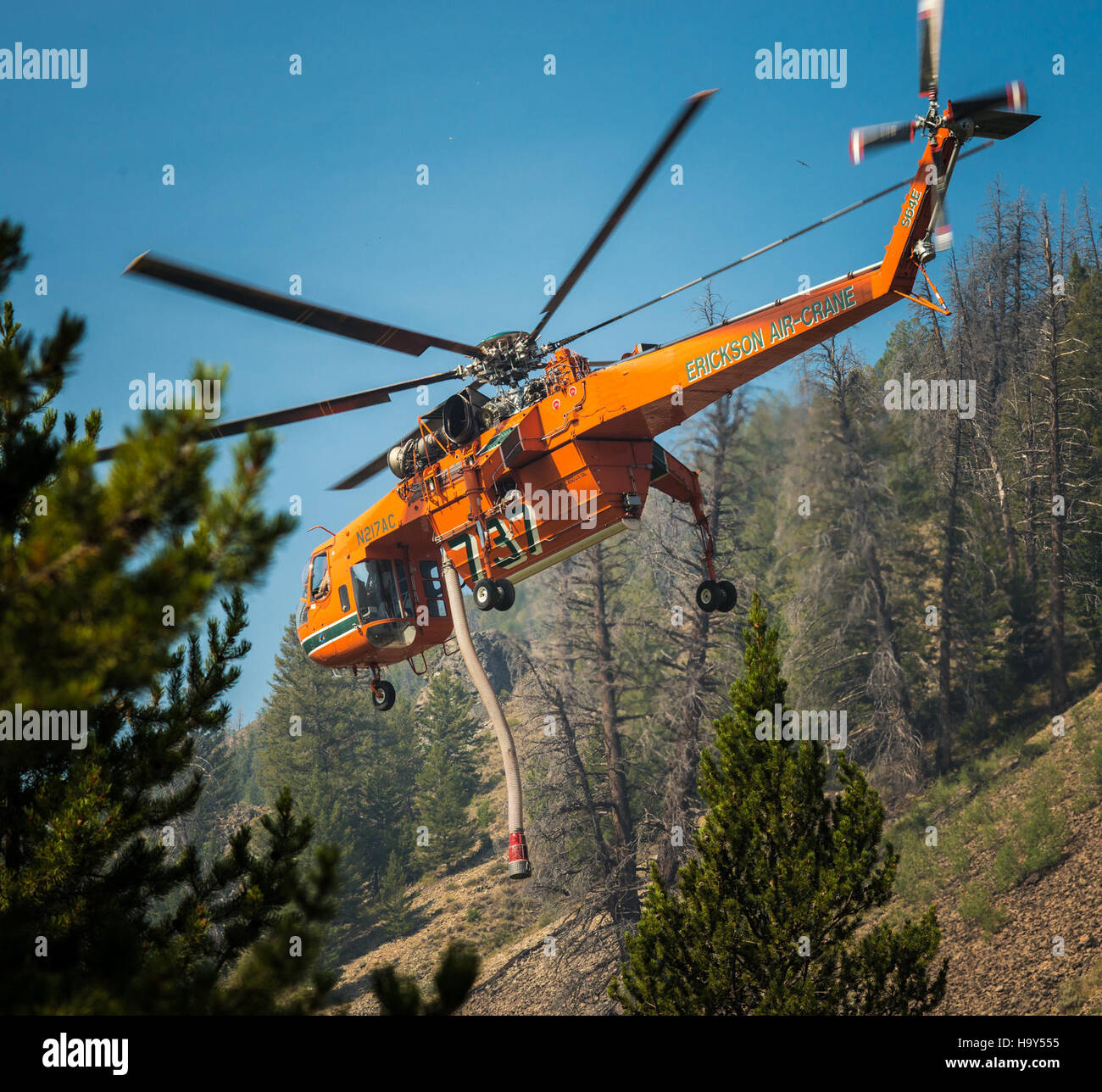 The Beaver Complex Wildlands Fire, occurring in Idaho's Sun Valley ...