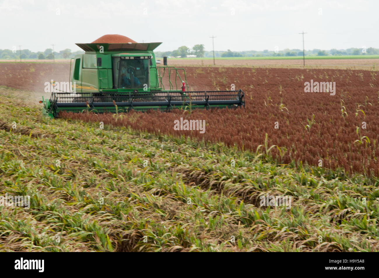 2804 hi-res stock photography and images - Alamy