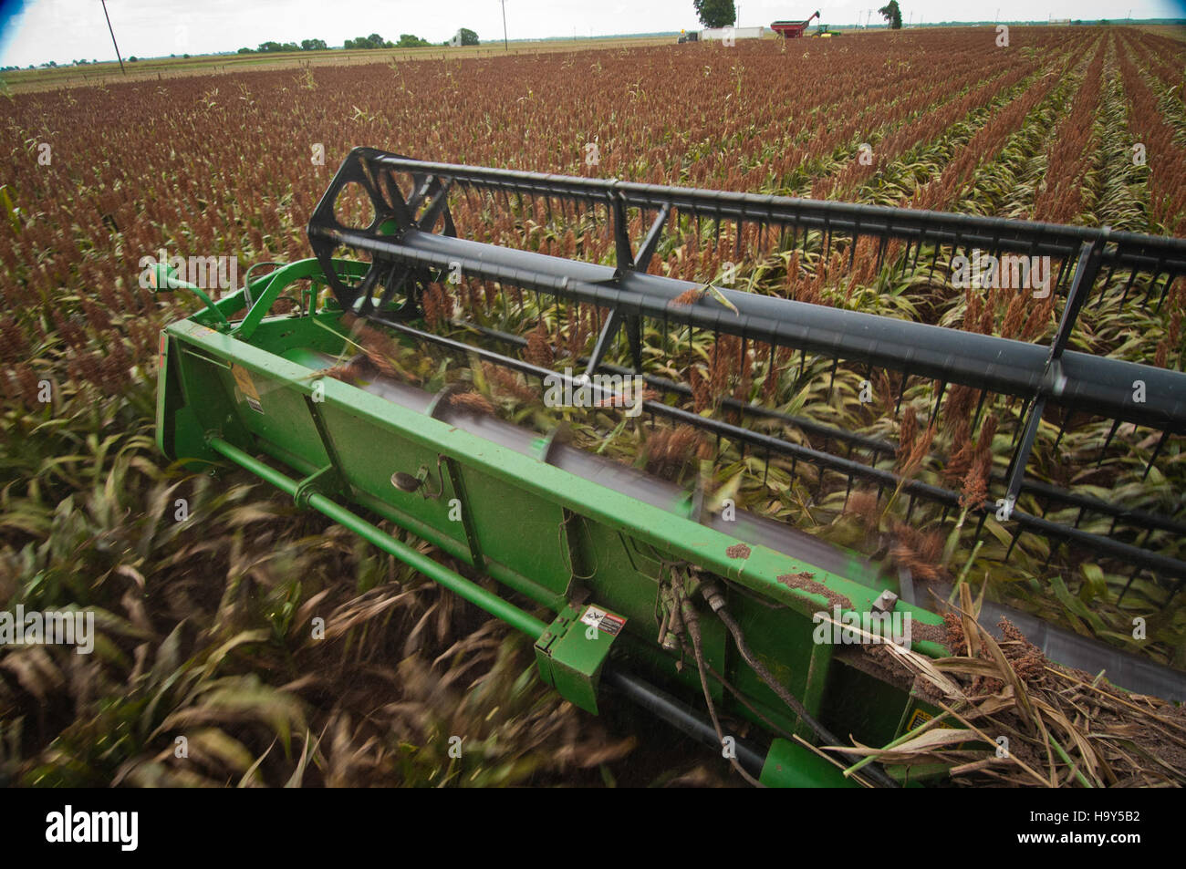 usdagov 9682287952 20130821-OC-RBN-2862 Stock Photo - Alamy usdagov 9682287952 20130821-OC-RBN-2862 Stock Photo - Alamy