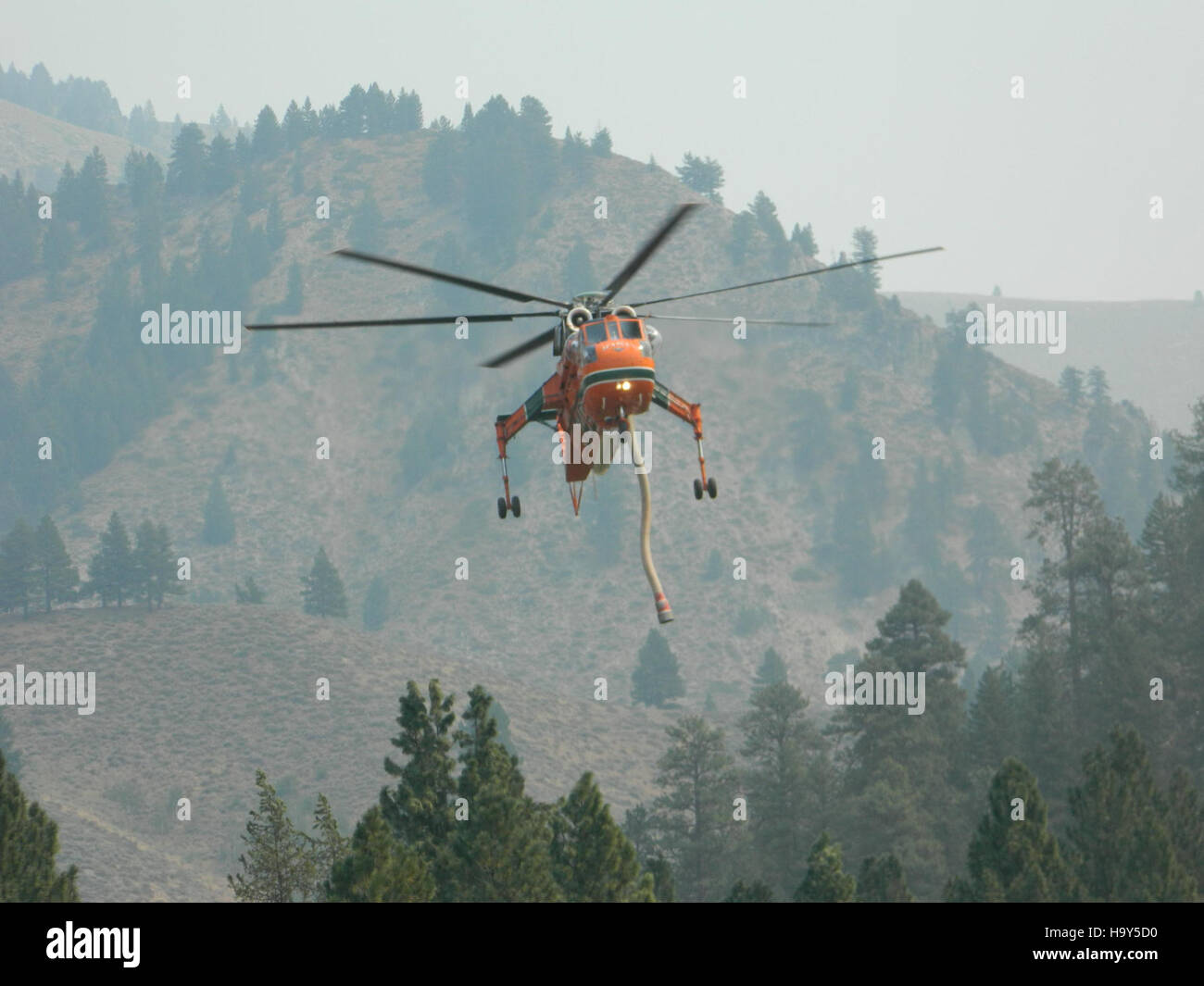 The Kelley Fire was a significant forest fire, impacting natural ...