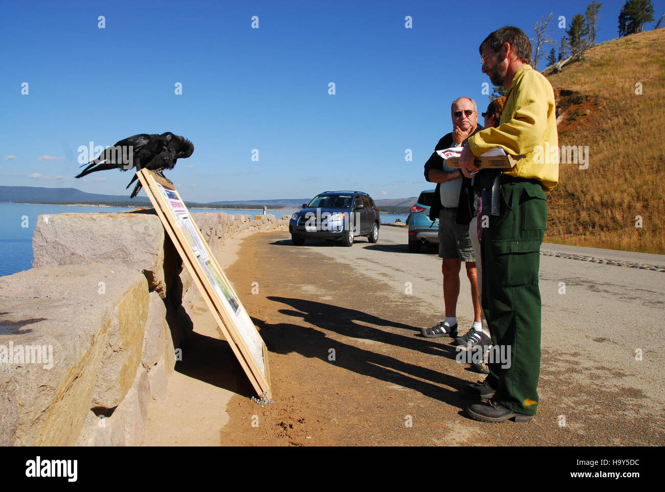 The Druid Complex in Yellowstone National Park is a geological and ...